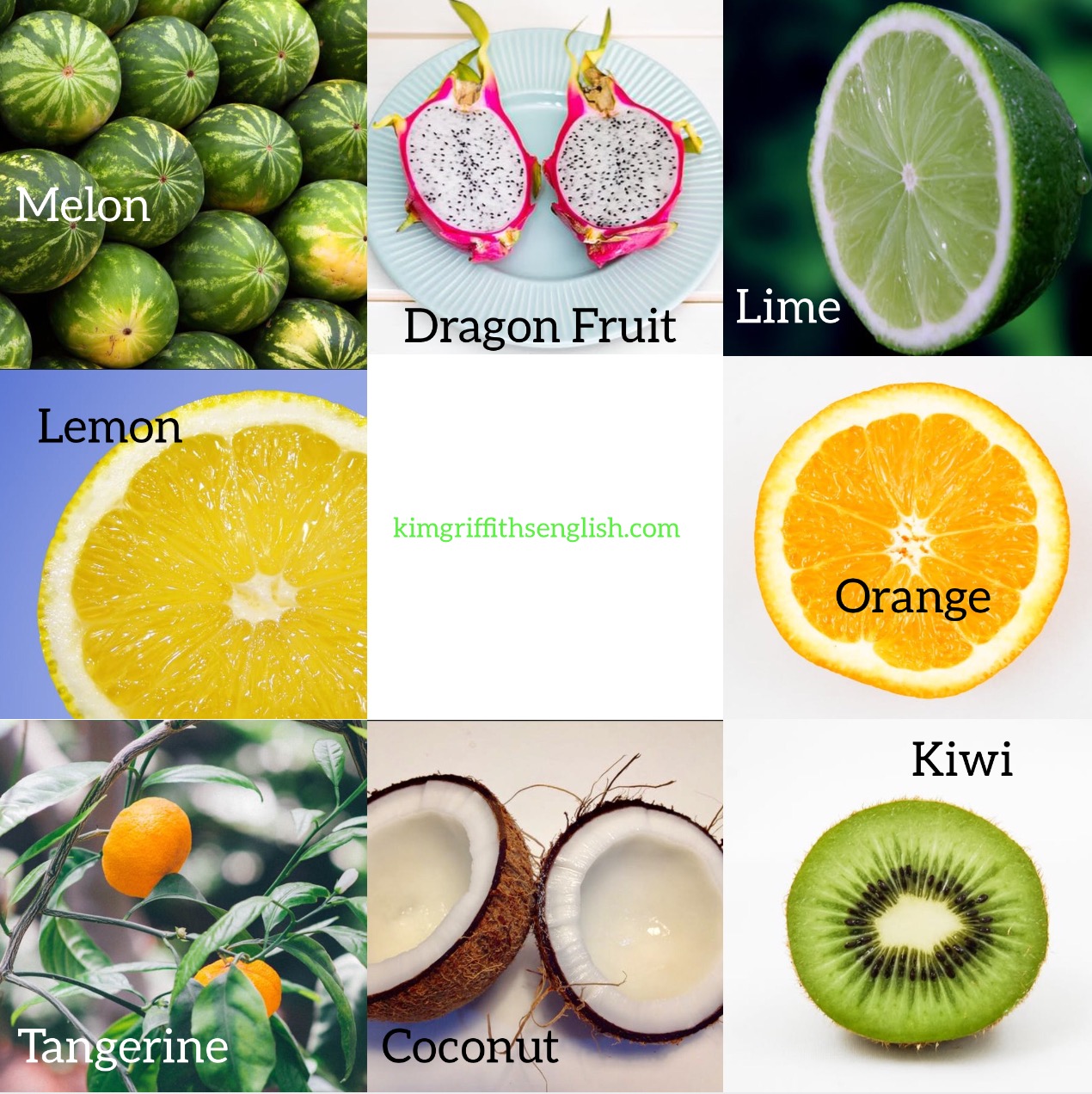 Refreshing, Fruity, and maybe with alcohol! And a Flamingo! – Kim ...