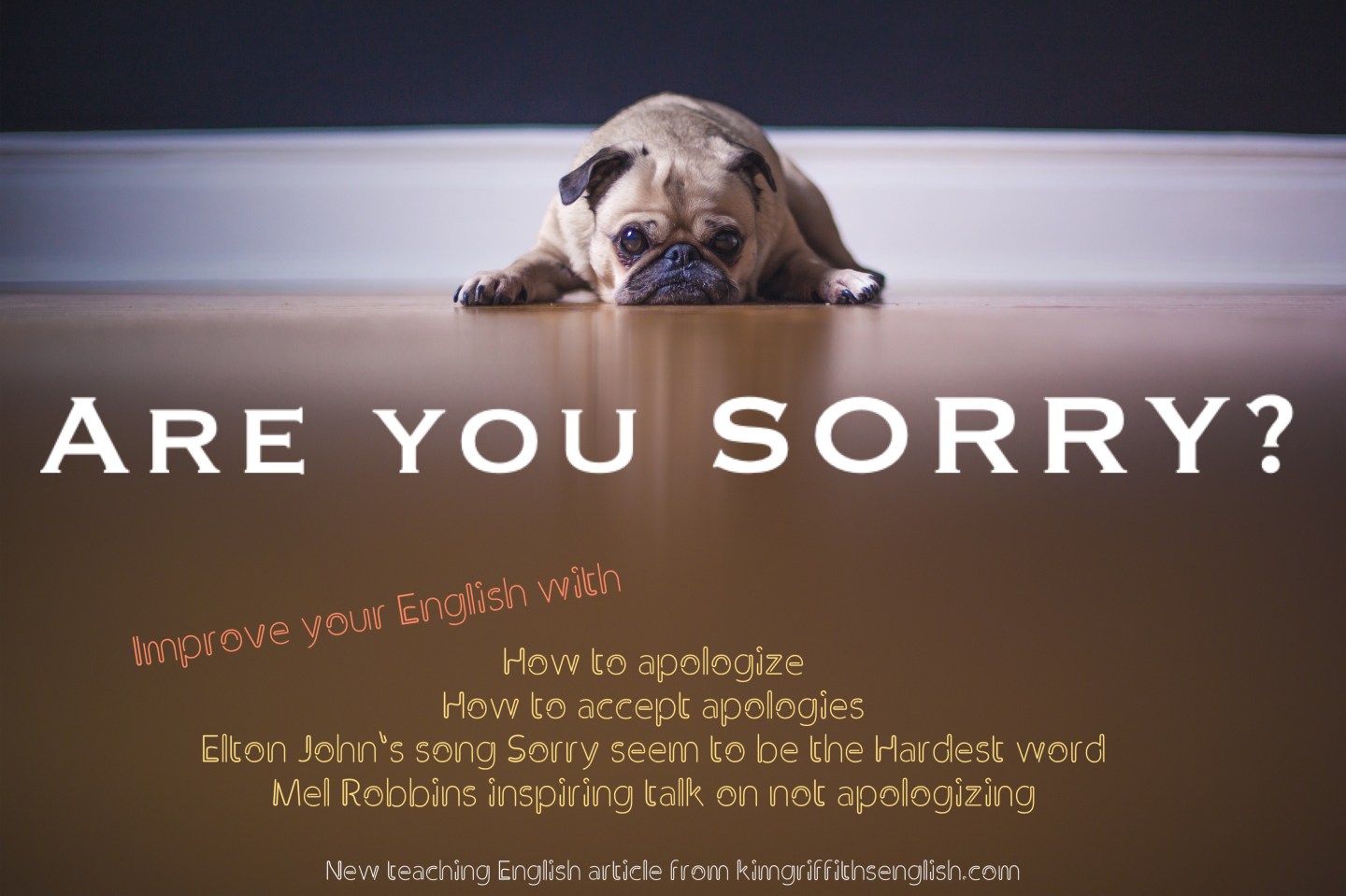 Are you Sorry? – Kim Griffiths English