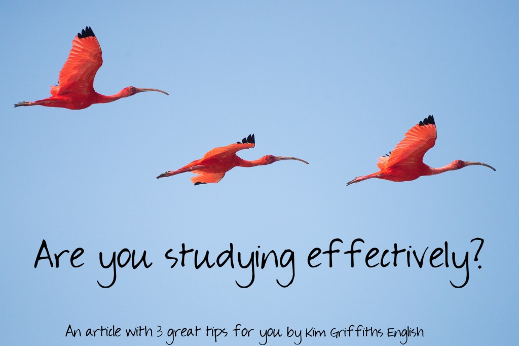 Blog – Kim Griffiths English
